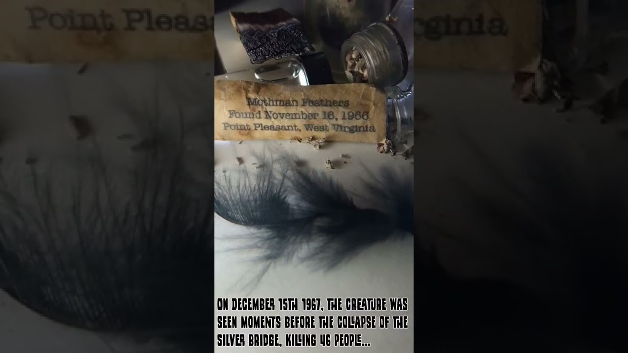 Mothman Feathers from the 1966 Point Pleasant sighting! Black Mass ...