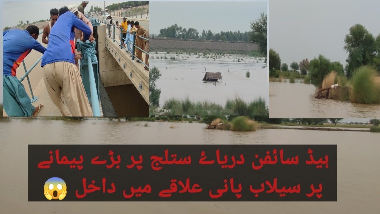 Satluj River flood||Head Syphon Mailsi|| 24 جولائی || دریاۓ ستلج ہیڈ ...