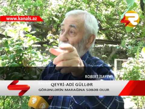 SAMAXIDA QEYRI ADI GULLERIN OLDUGU BAG