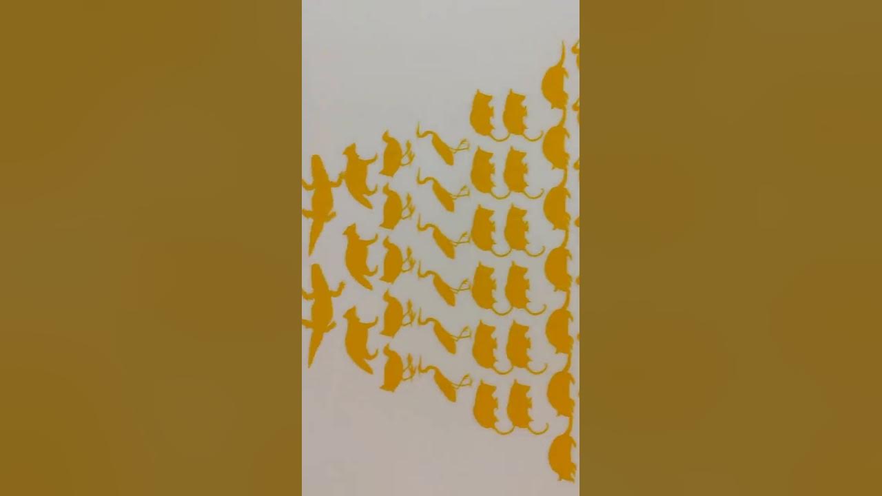 part 1 of Everglades City museum ' Python room - YouTube