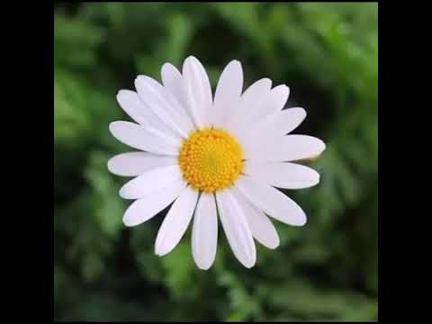 Tolgahan Şahiner - İyi Ki Sevmişim