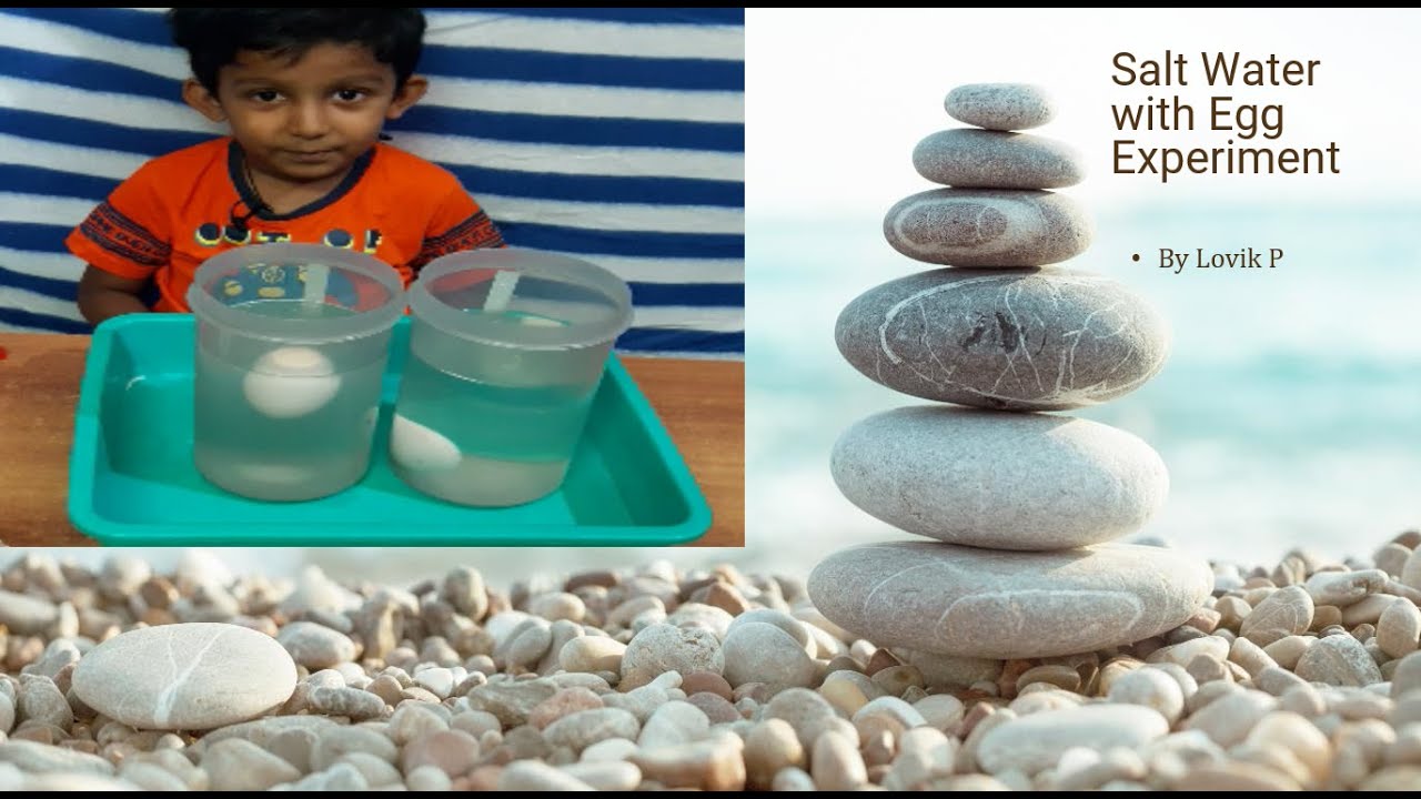 Science experiment-Salt Water with Egg Experiment kidsfriendly simple ...
