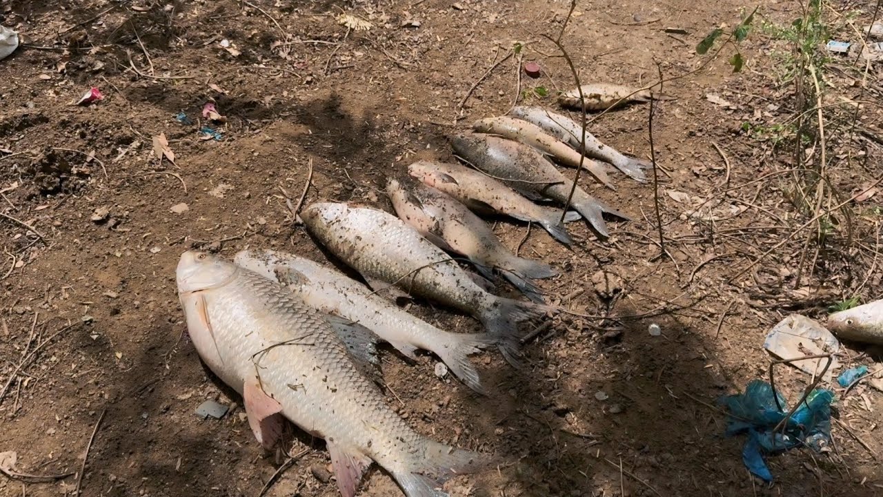Peaceful mornings, bountiful catches. catch together, laugh together ️🎣 ...