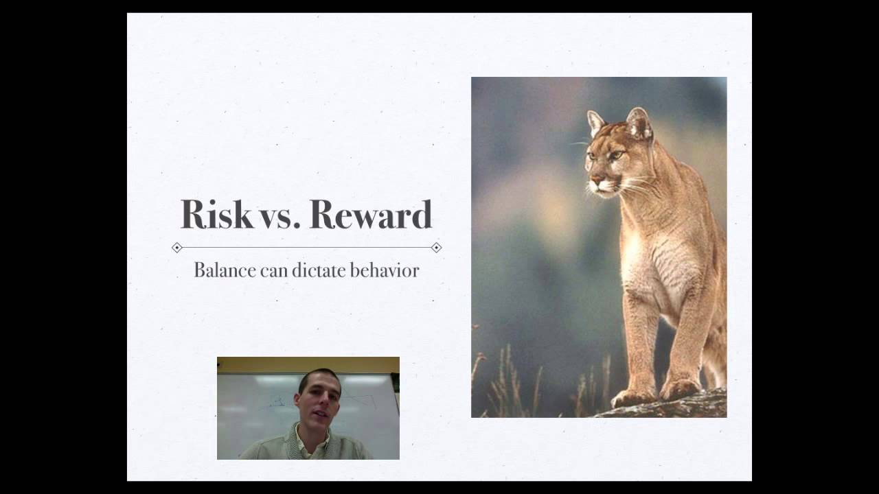 Natural Selection and Behavior - YouTube