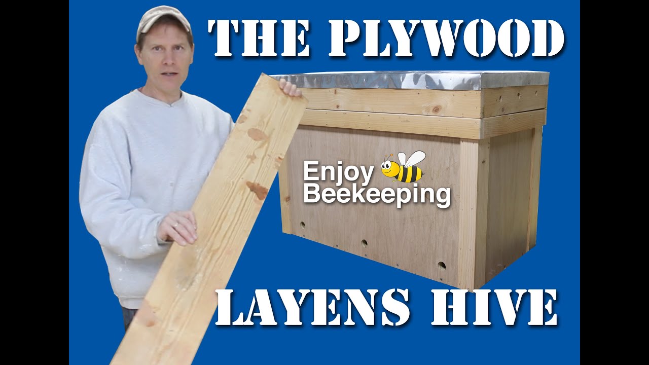 The Plywood Layens Hive 02 15 2021 - YouTube