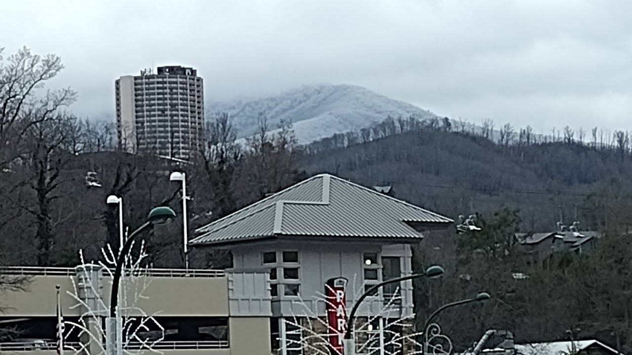 Getting ready for the BIG Gatlinburg TN Snow storm🤣Old Mill Pigeon ...
