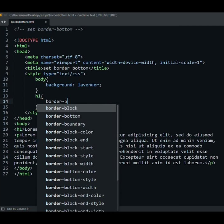 Set Border Bottom Css Webdesign Html Javascript Frontenddeveloper Webdesigner Html5