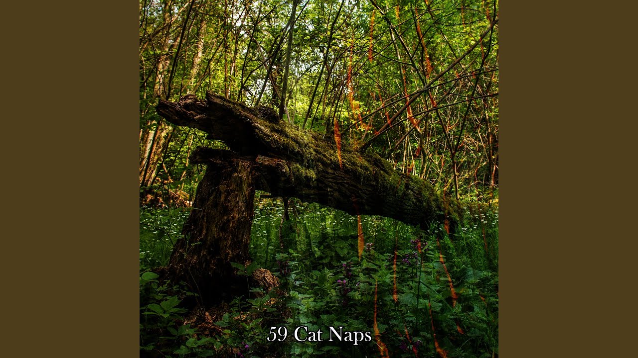 Quick Naps - YouTube