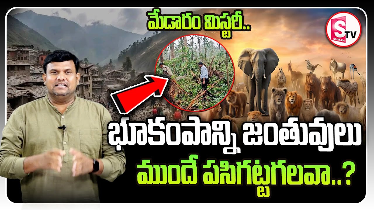 భూకంపాన్ని జంతువులు ముందే పసిగట్టగలవా..? | Earthquake | Journalist ...