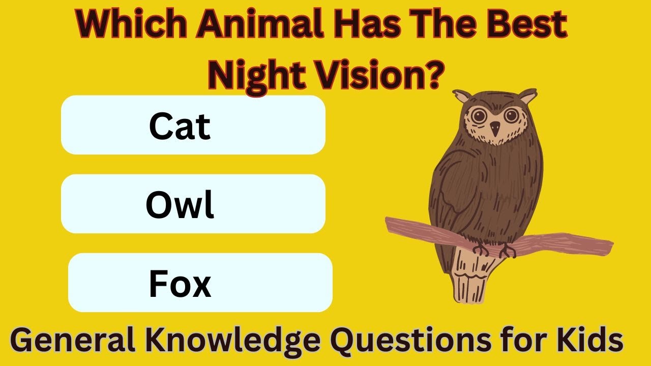 IQ Questions for Kids with Answers Lesson 3 | Educational Video ...