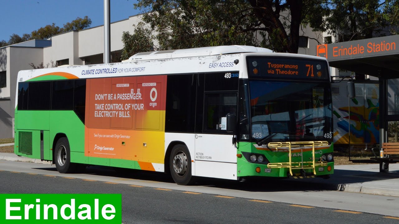 Buses at Erindale Interchange - Canberra Transport - YouTube
