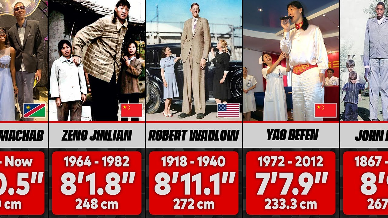Tallest People in the World - Height Comparison - YouTube