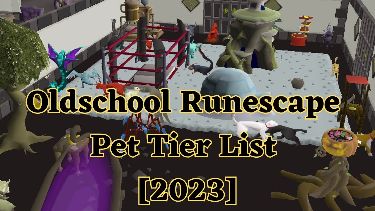 Pet TIER LIST [2023] - OSRS - YouTube