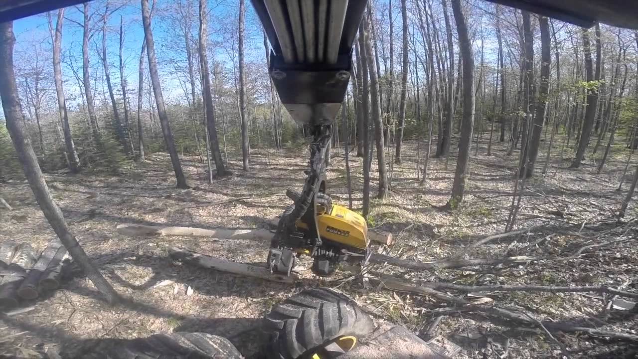 Ponsse Ergo C4 H7 Hardwood Select Cut (GoPro Hero 3+) - YouTube