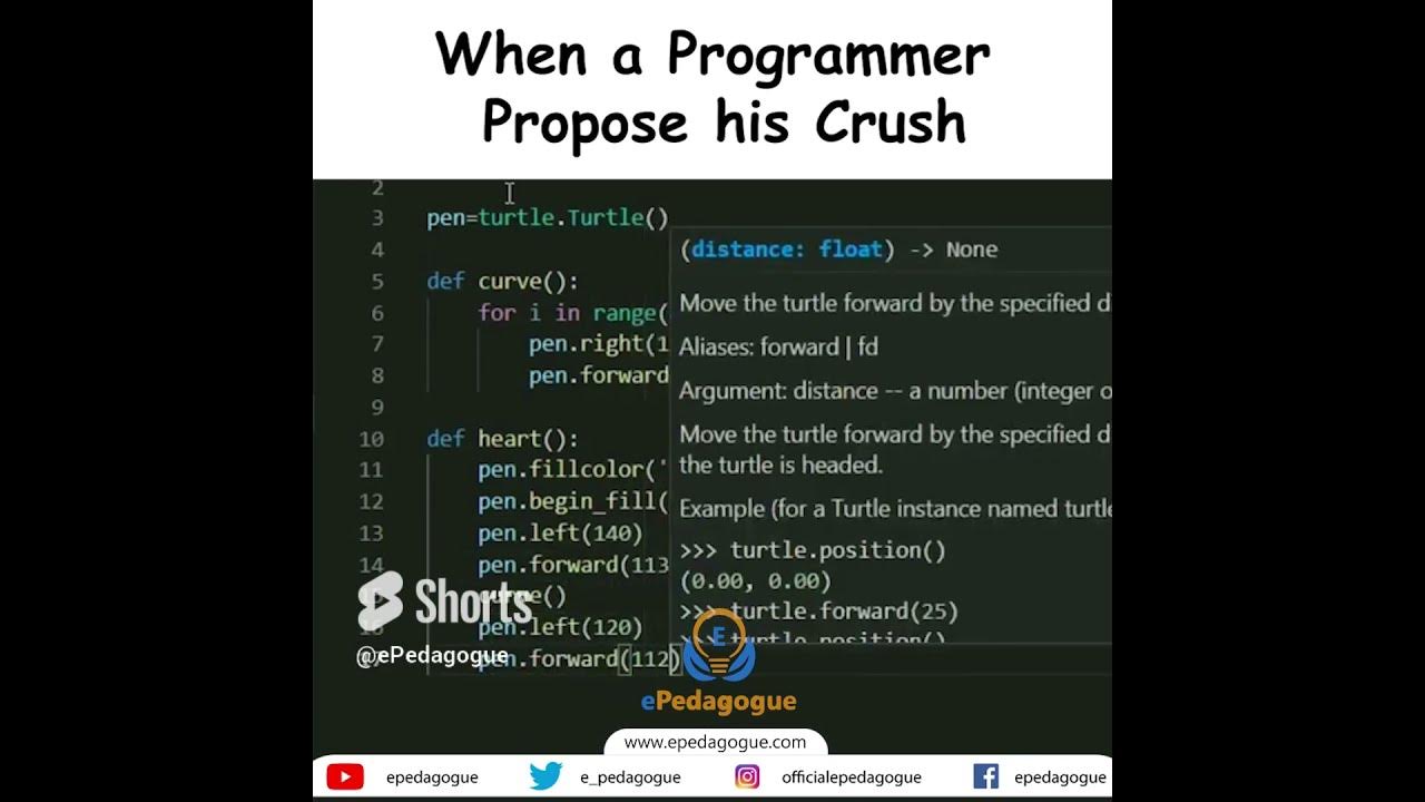 When a Programmer Propose his Crush Python Tricks #programmingshorts - YouTube