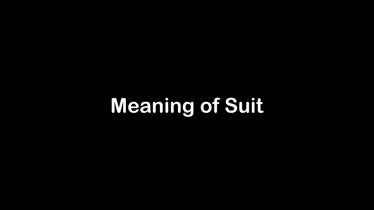What is the Meaning of Suit | Suit Meaning with Example - YouTube