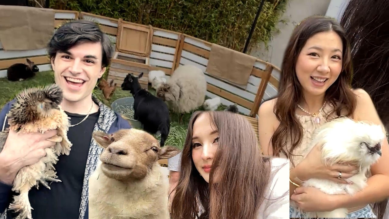 Tina and Foolish Pet Farm Animals - YouTube