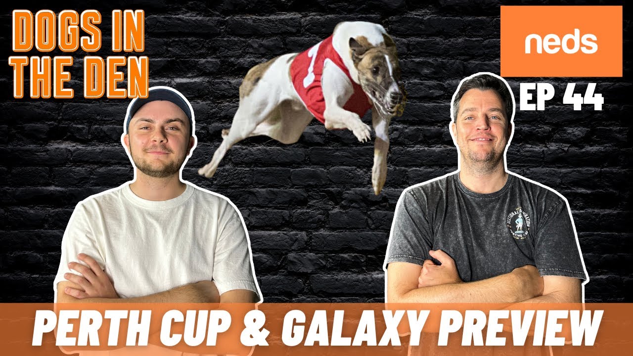 DOGS IN THE DEN: EP 44 - PERTH CUP AND GALAXY PREVIEW! - YouTube