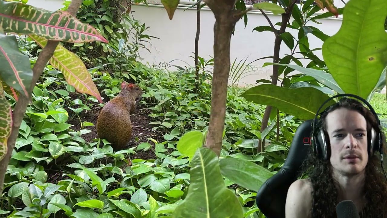 Serral ZvP ULTIMATE LATE GAME - YouTube