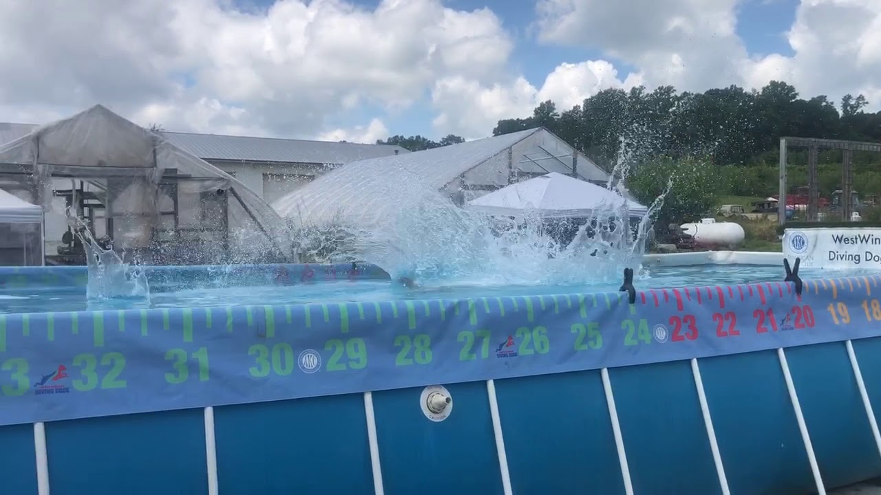 Dock Diving w/Westwind Diving Dogs - YouTube