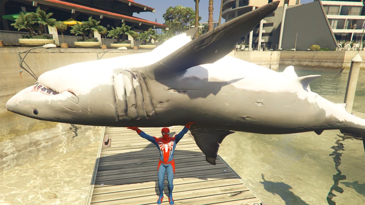Spider Man Crazy - Spider Man Attack Shark # 18 - YouTube