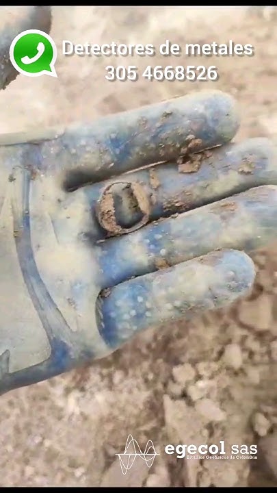 Detectores de metales Anfibio Multi Nokta Makro @Egecol - YouTube