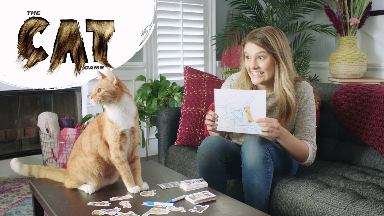 Spin Master Games | Cat Game - YouTube