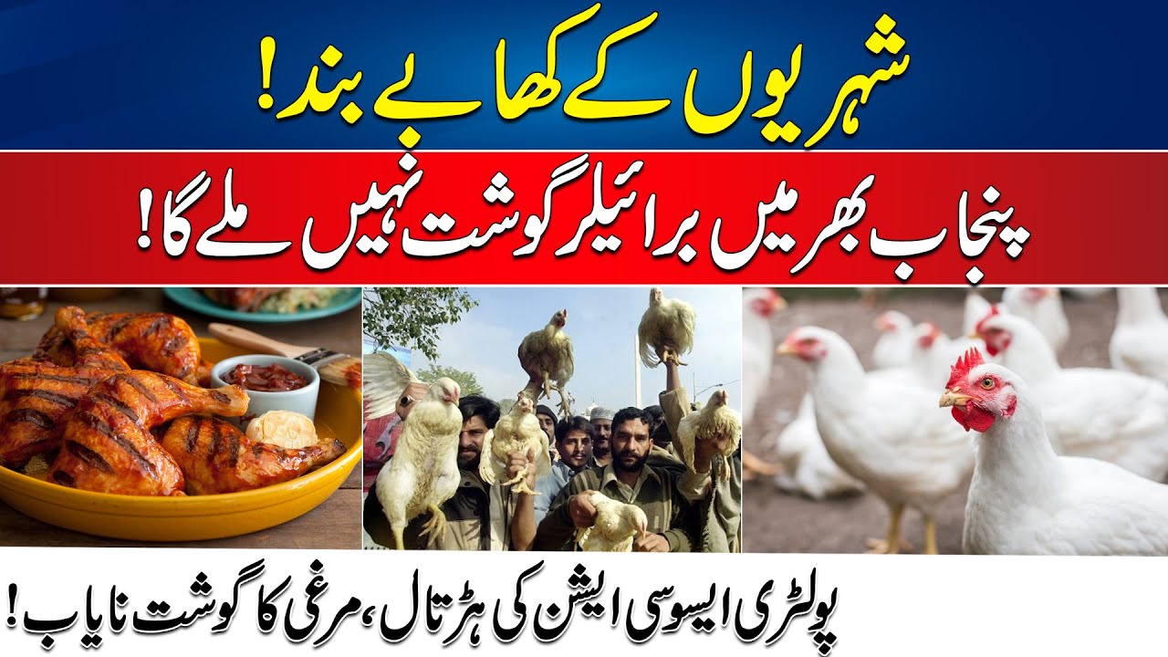 Shortage Of Chicken In Punjab | Poultry Association On Protest | 24 ...