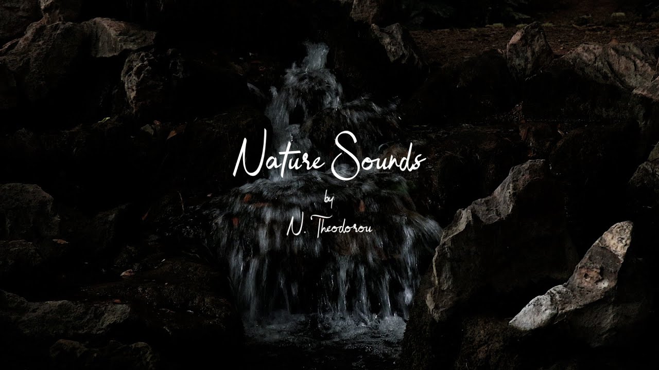1 hour running spring water & birds sounds - Nature sounds by N ...