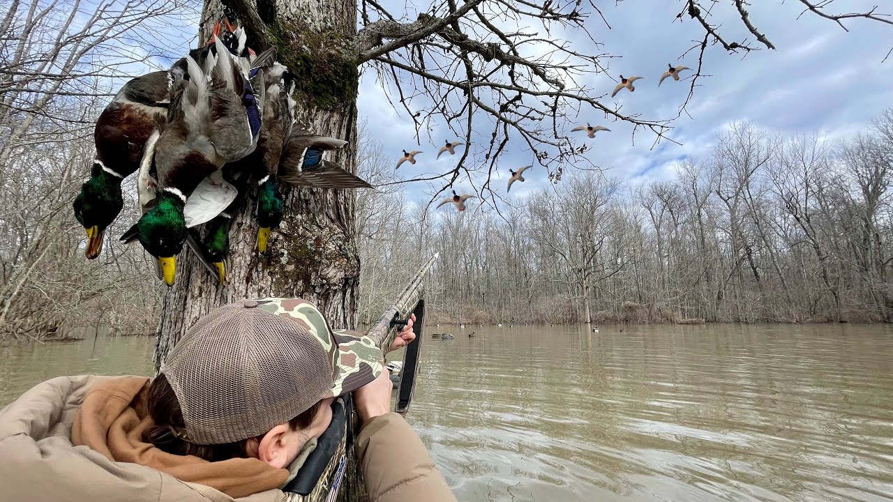 Public Land Duck Hunting Arkansas Flooded Timber! - YouTube