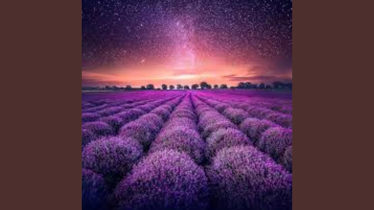 Lavender - YouTube