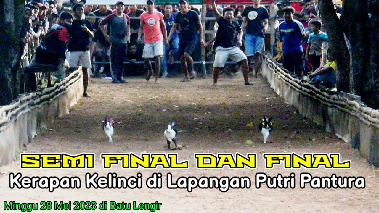BABAK Semi Final dan Final kerapan kelinci di lapangan Putri Pantura Batulengir - YouTube