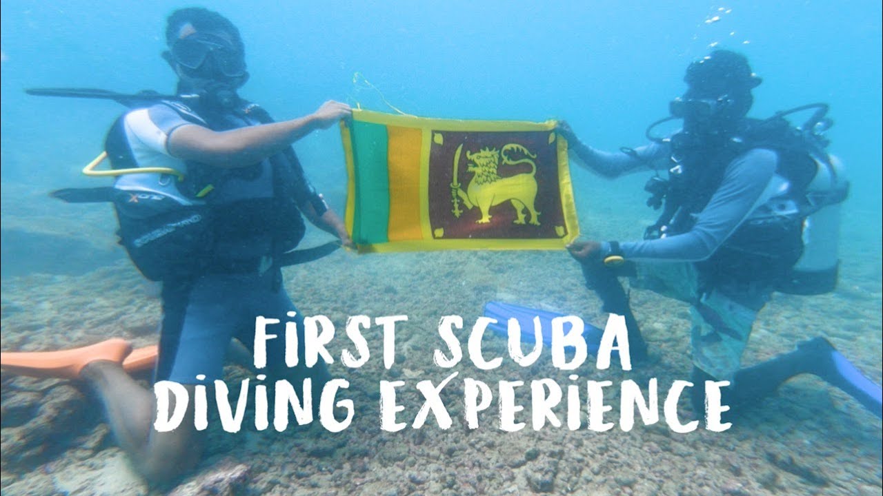 SCUBA DIVING in Nilaveli | Trincomalee Sri Lanka - YouTube