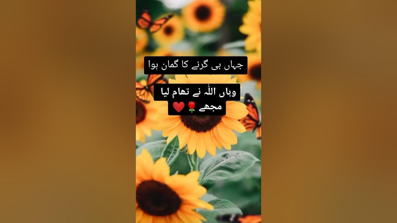 february-22-2022-youtube