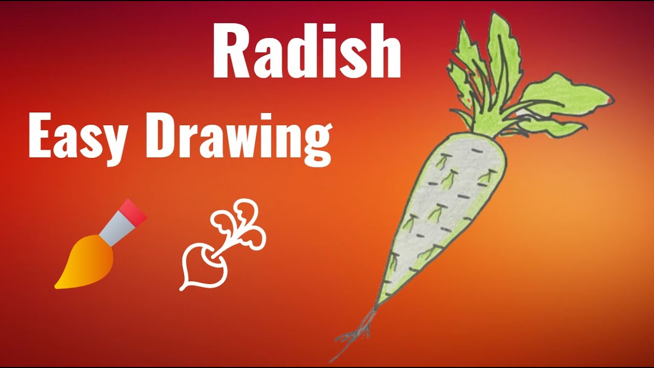 Radish Easy Drawing | Learning Easier | Step by Step | How to draw Cute ...