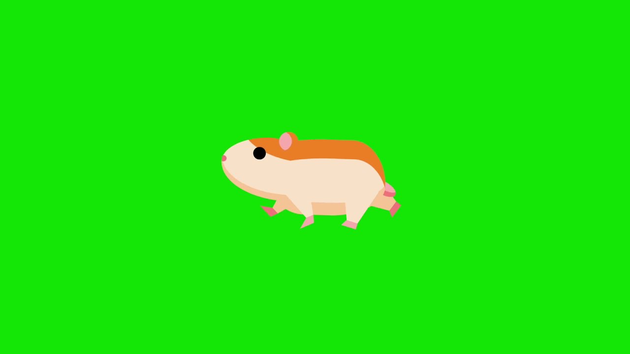 Cartoon Hamster Running Green Screen - YouTube