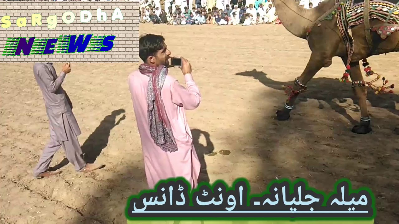 Camel Dance in Mela shahpur sargodha /اونٹ ڈانس میلہ شاہپور سرگودھا ...