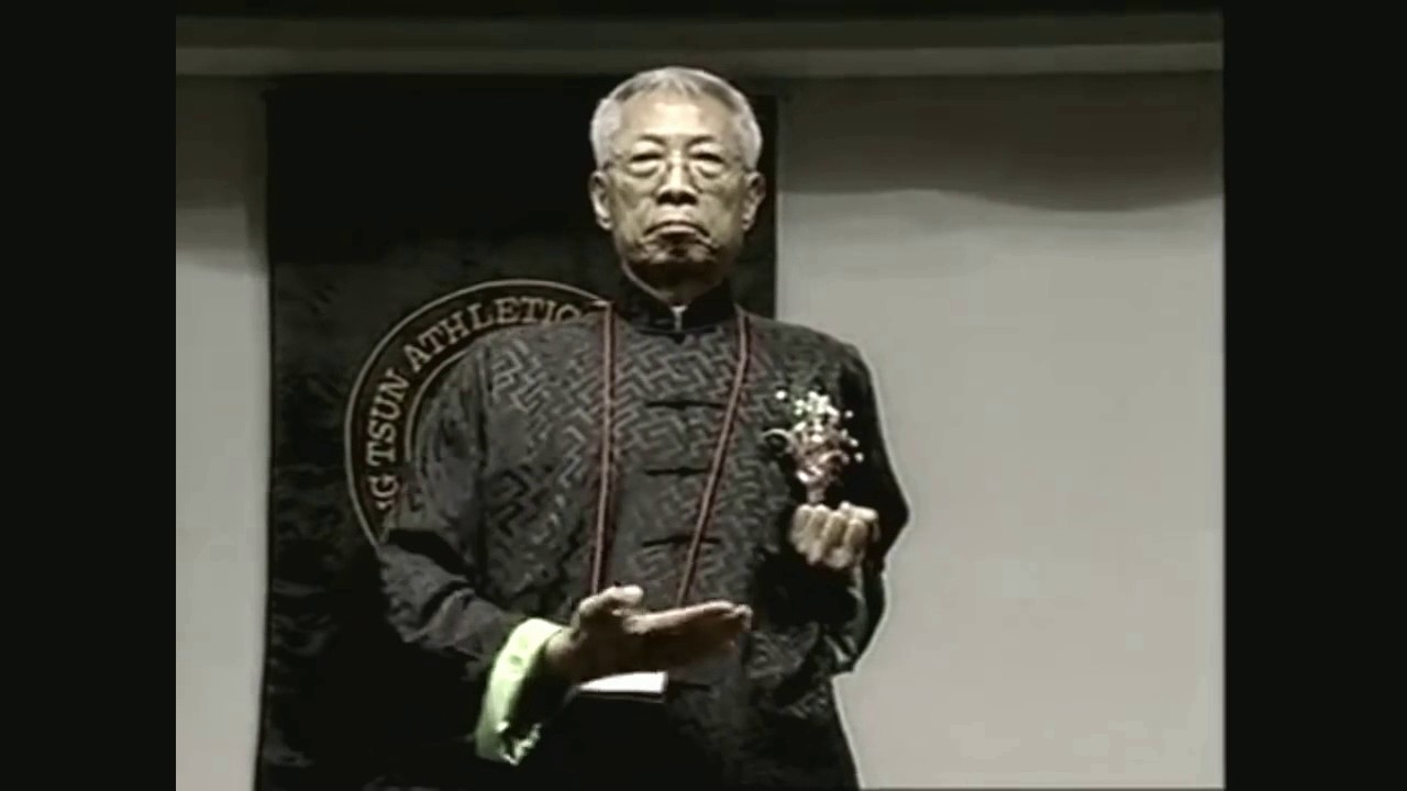 SIU NIM TAO GRANDMASTER CHU SHONG TIN THE KING OF SIU NIM TAO - YouTube