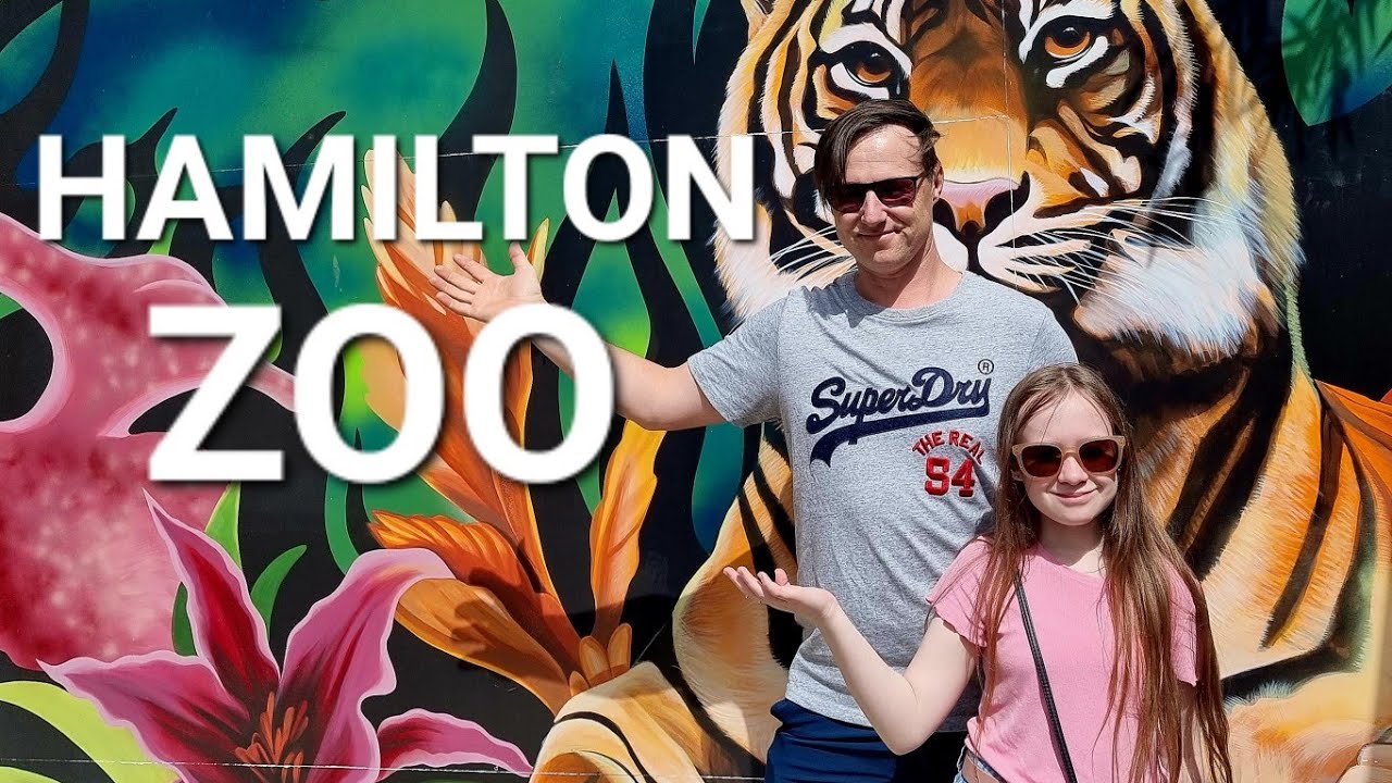Hamilton New Zealand | Hamilton Zoo | Surprise Hamilton Trip - YouTube