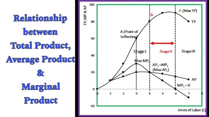 In The Diagram Total Product Will Be At A Maximum At How To Choose The