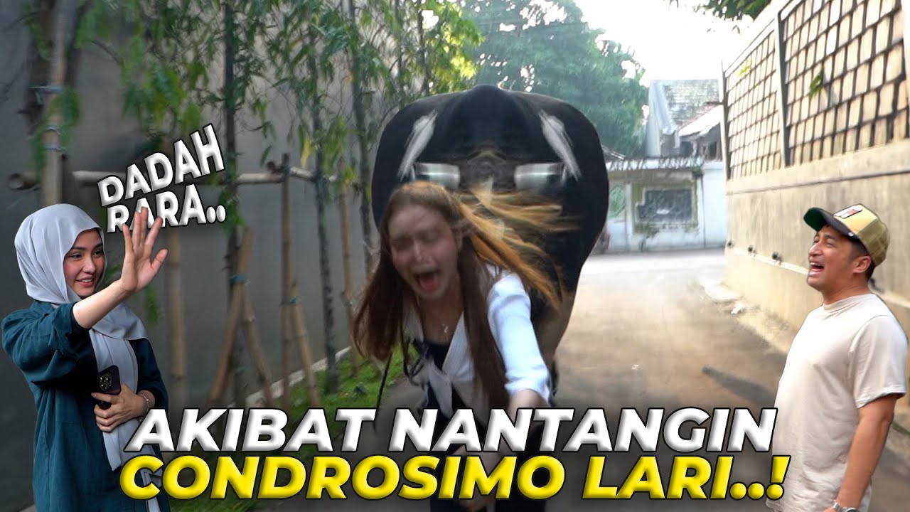 GARA-GARA NANTANGIN, RARA LARI DIKEJAR CONDROSIMO..! MYA HERRY PUAS ...