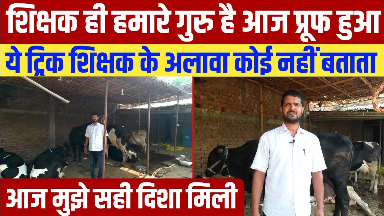 शिक्षक होने के साथ-साथ डेरी फार्म में बजा रहे डंका/abs breed/hf cross ...
