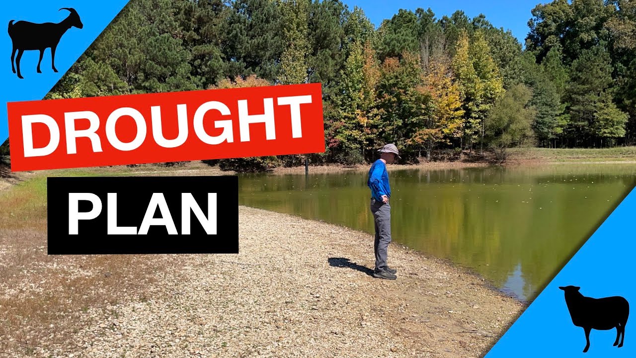 Drought Plan: Important Actions To Minimize Loss - YouTube