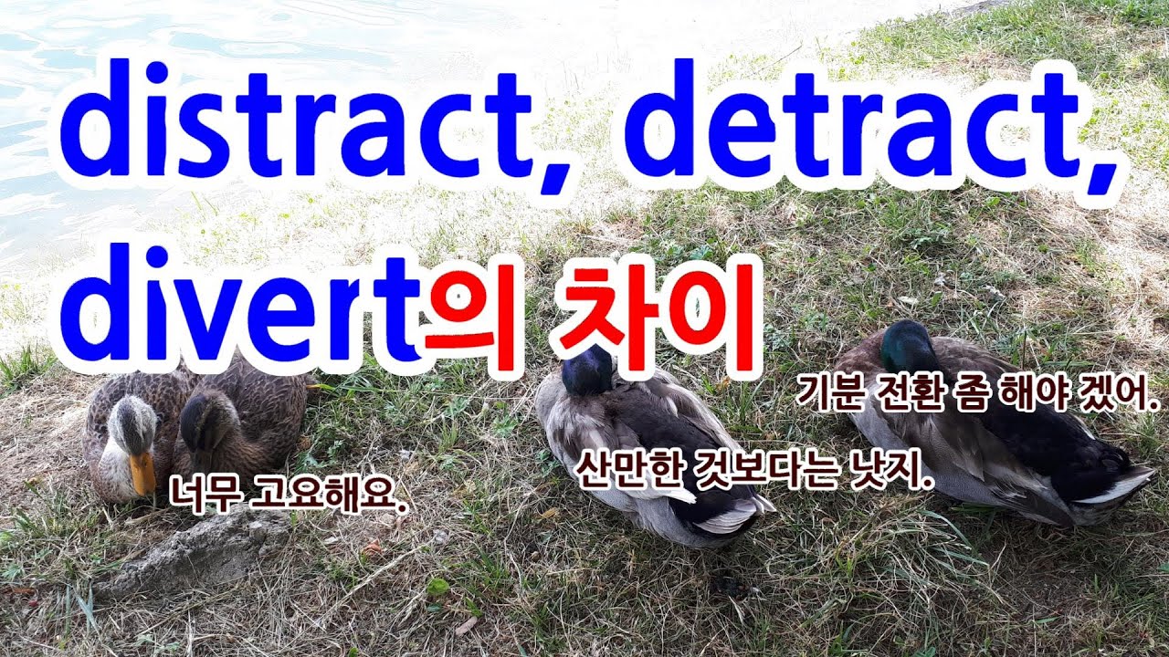 distract, detract, divert의 차이 - YouTube