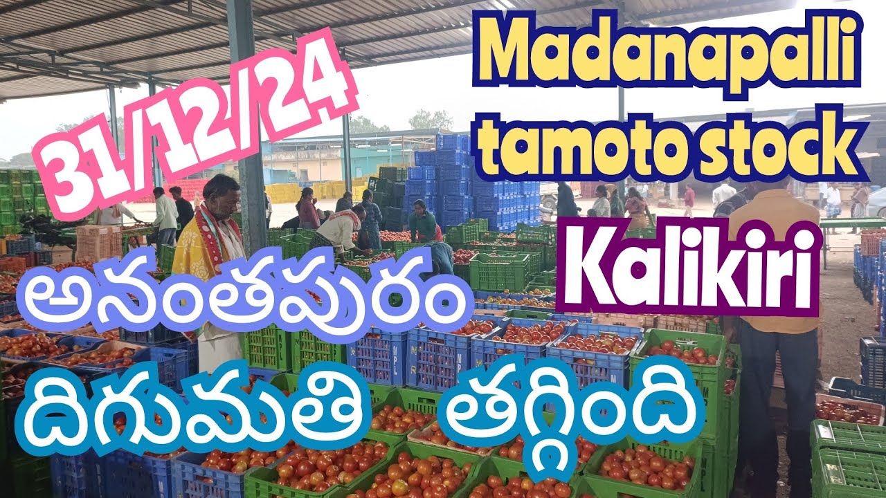 December 31, 2024ఈరోజు మదనపల్లి మార్కెట్ 🍅🍅దిగుమతి!!#kalikiri ...