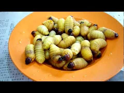 Worms (Sago worms) - YouTube