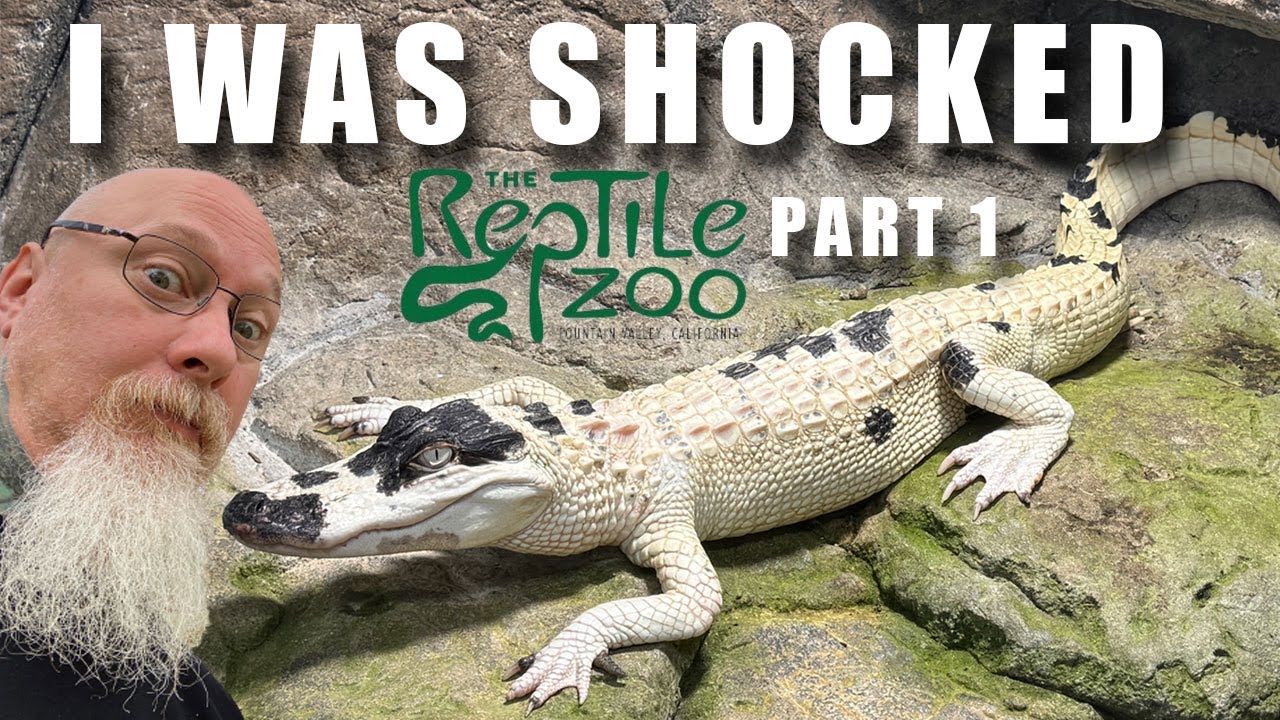 My visit to Prehistoric Pets the home of Jay Brewer and his Reptile Zoo ...