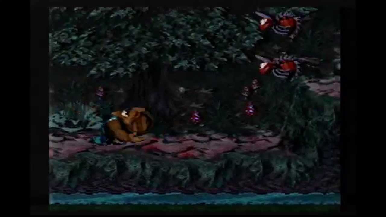 DKC3 Any% Lightning Lookout Sample + Guide - YouTube