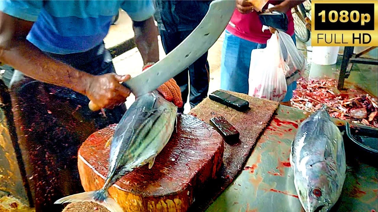 බලයෝ දෙන්නයි විනාඩි දෙකයි | skip jack tuna fish cutting skills | Mr ...
