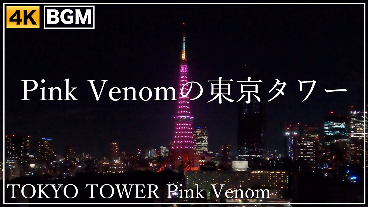 Pink Venomの東京タワーの夜景・ライトアップ（2022/8/19）TOKYO-TOWER - YouTube